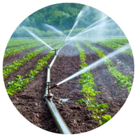 DIY Irrigation Kits – Agritech Movement - AgroShop AgroSheriff’s AgriTech